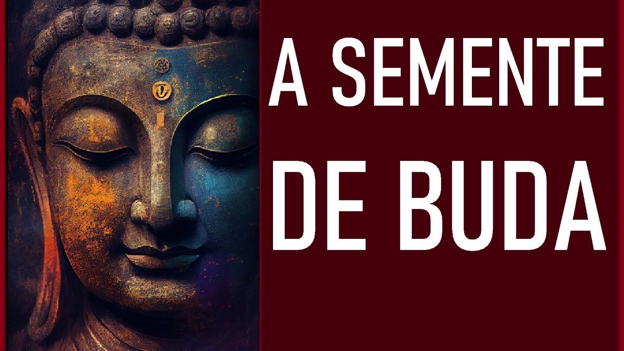A Semente de Buda (de volta ao Brasil) - YouTube
