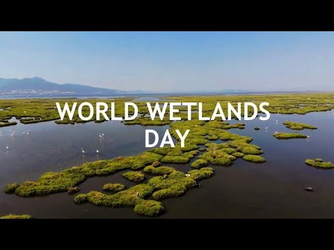 World Wetlands Day 2024 - YouTube