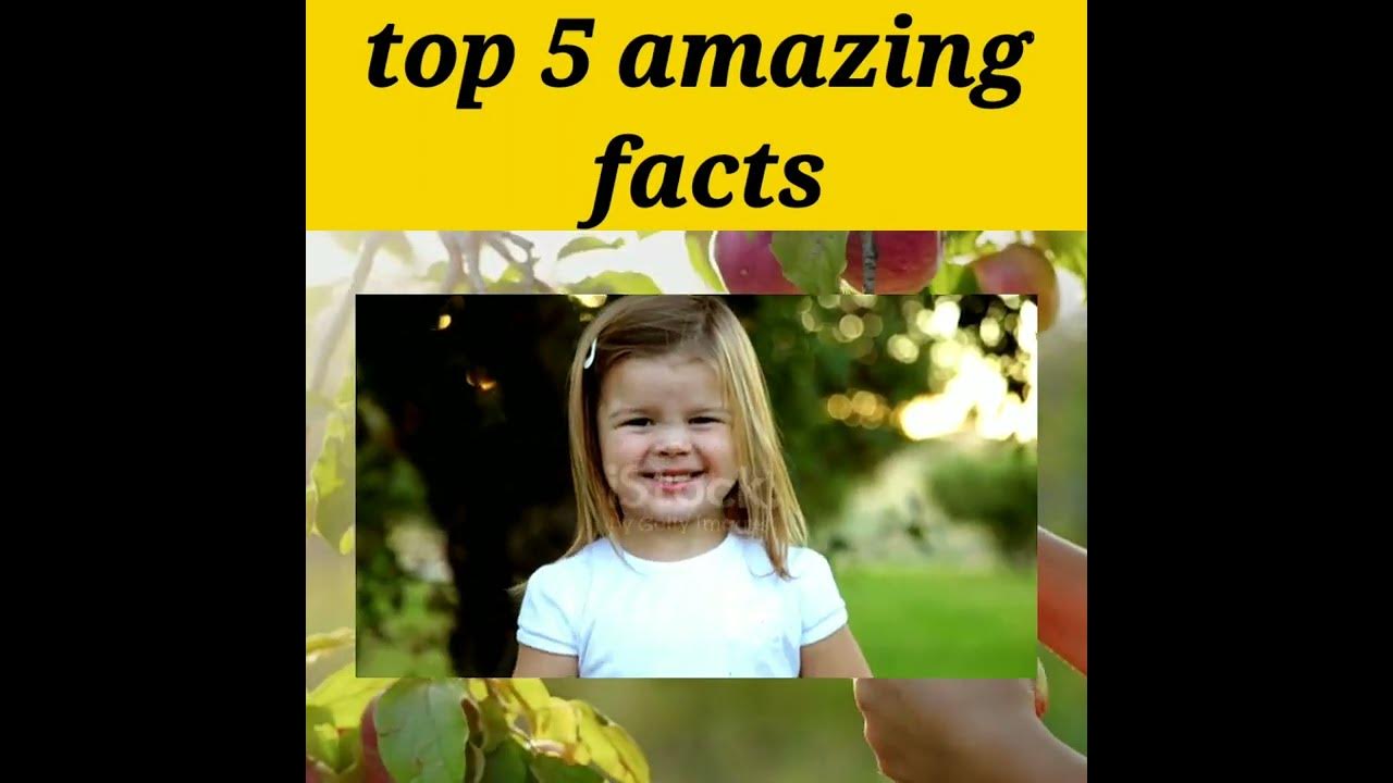 Top 10 Interesting Facts About India Amazing Facts Random Facts
