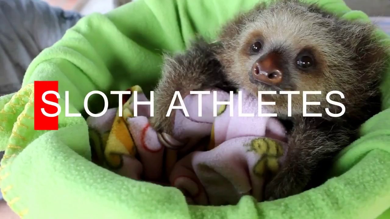 The Sloth Ironman Games Athlete Reveal! - YouTube