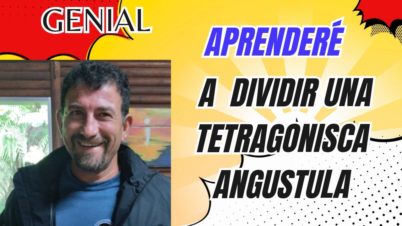 APRENDE A DIVIDIR LA ABEJA QUE PRODUCE LA MIEL MAS MEDICINAL ...