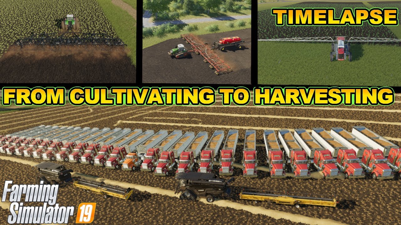 Harvesting WHEAT from Start to Finish | FARMING SIMULATOR 19 time lapse ...