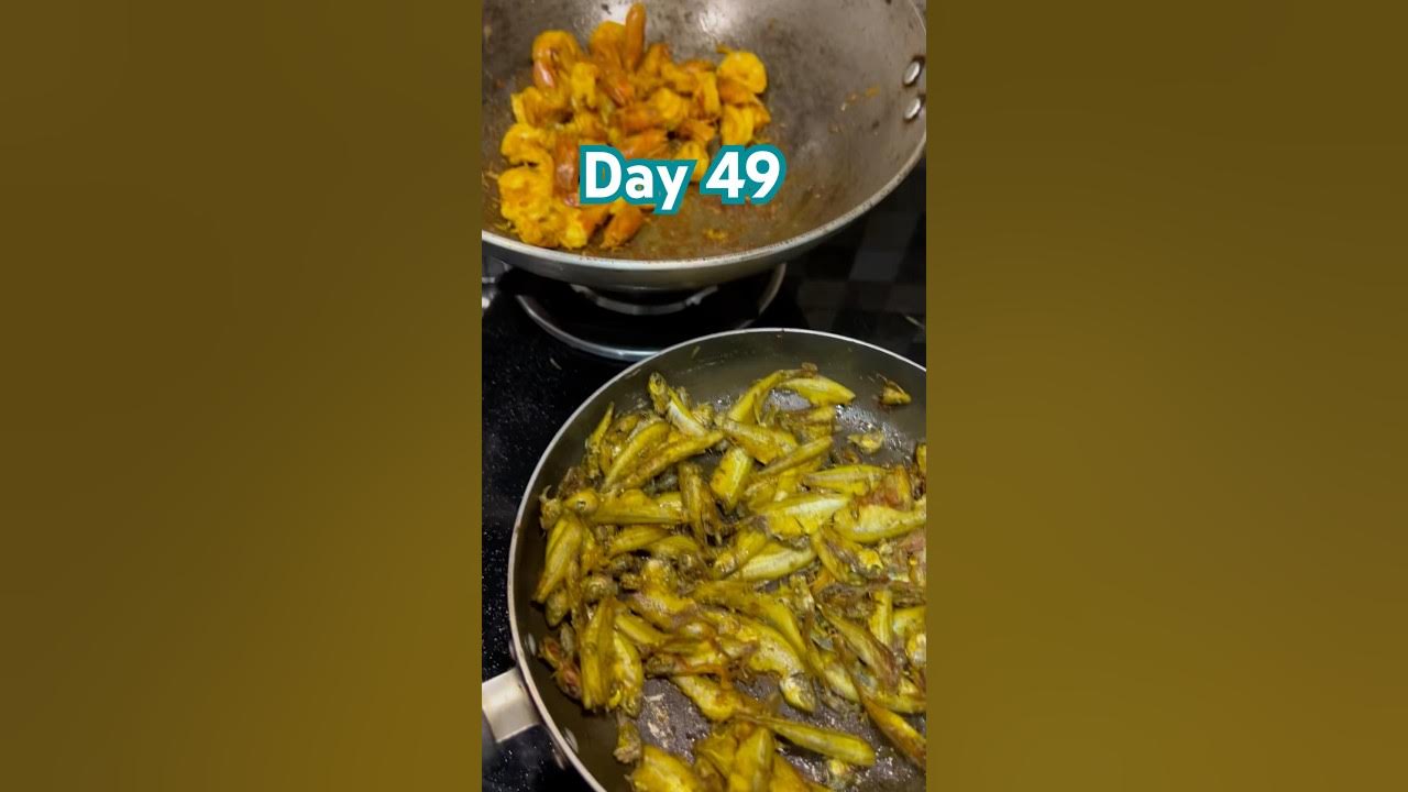 Daily vlog day49#day49 #dailyvlogging #minivlogger #shortsfeed #hindivlogs #indianvloggermona# ...