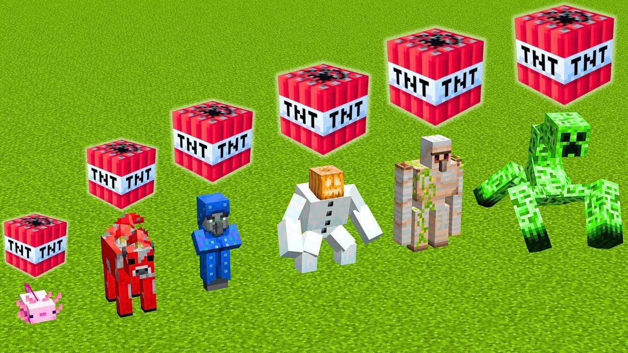 Which mob survive more tnt? - YouTube