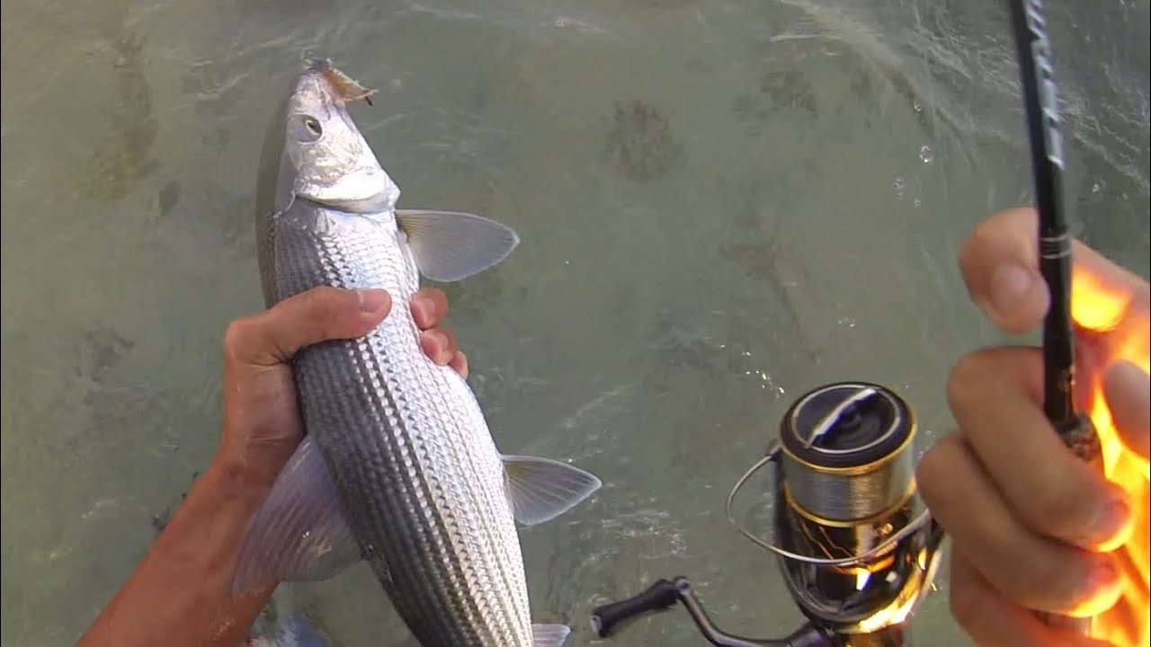 Ultra Light Oio Fishing with Lures in Hawaii - Homemade Bonefish ...