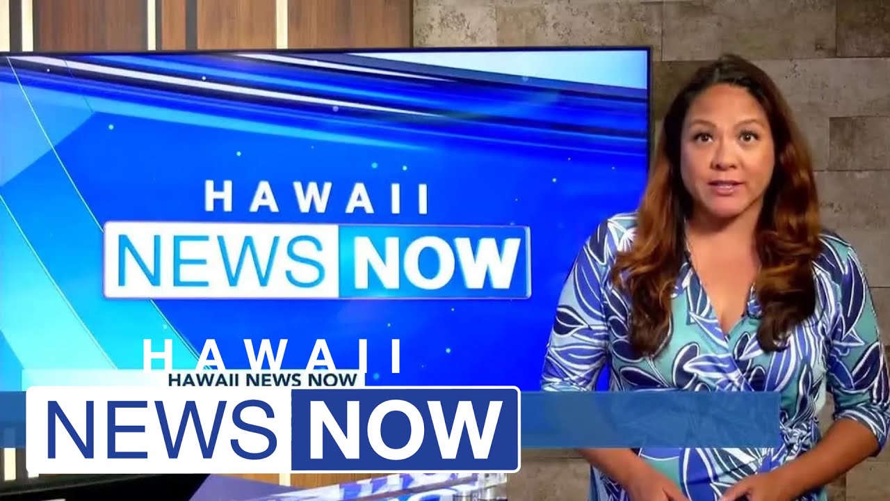 Hawaii can enforce gun bans in some public places, appeals court rules ...