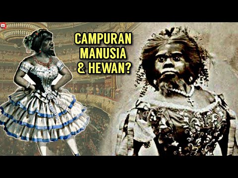 TRAGIS KAWIN S1LANG MANUSIA & HEWAN? EKSPLOITASI BABOON LADY, JULIA ...