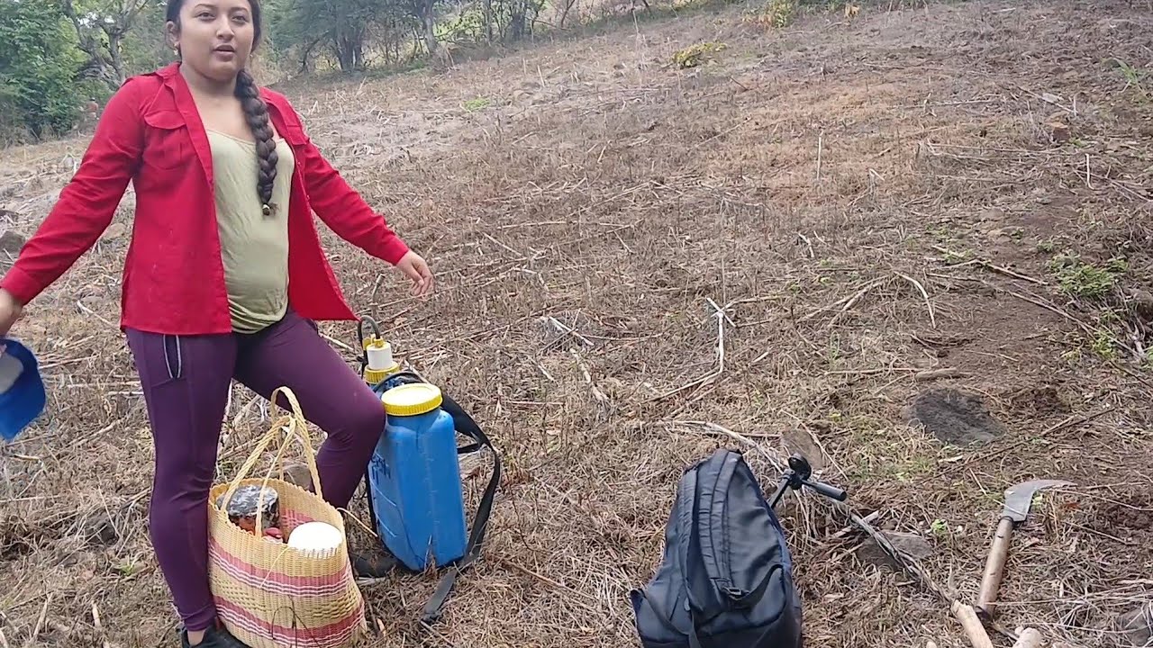 Y Vamonos a trabajar ala milpa con yami 🤠 - YouTube