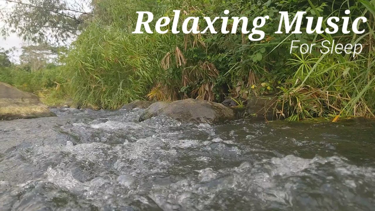 Relaxing piano music and water sounds 29/9/4 live stream music for ...