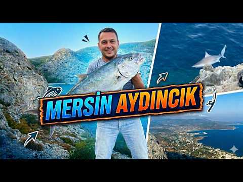 AYDINCIK İLÇESİNDE BİR GÜN 