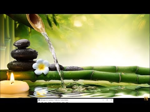 Het Leesuur met Willem #LekkerLezen Aflevering 1