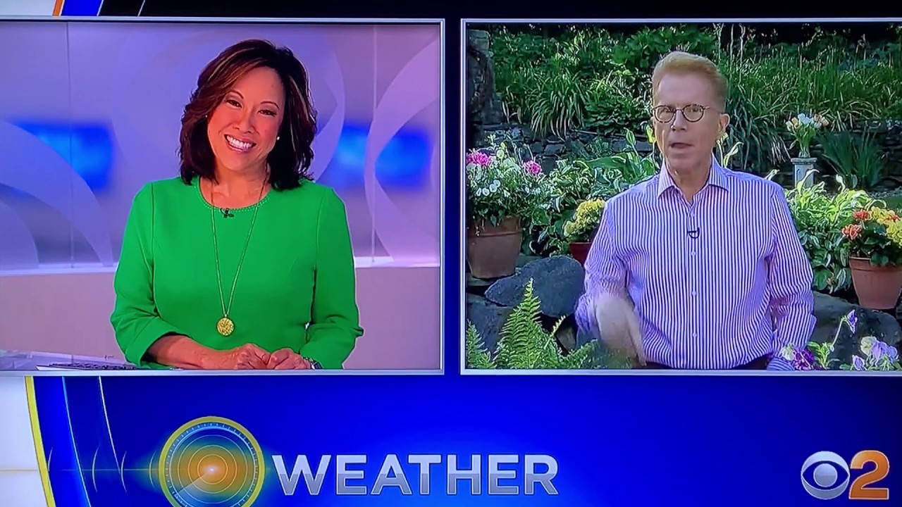 CBS Feature: "No Touch Solutions" - YouTube