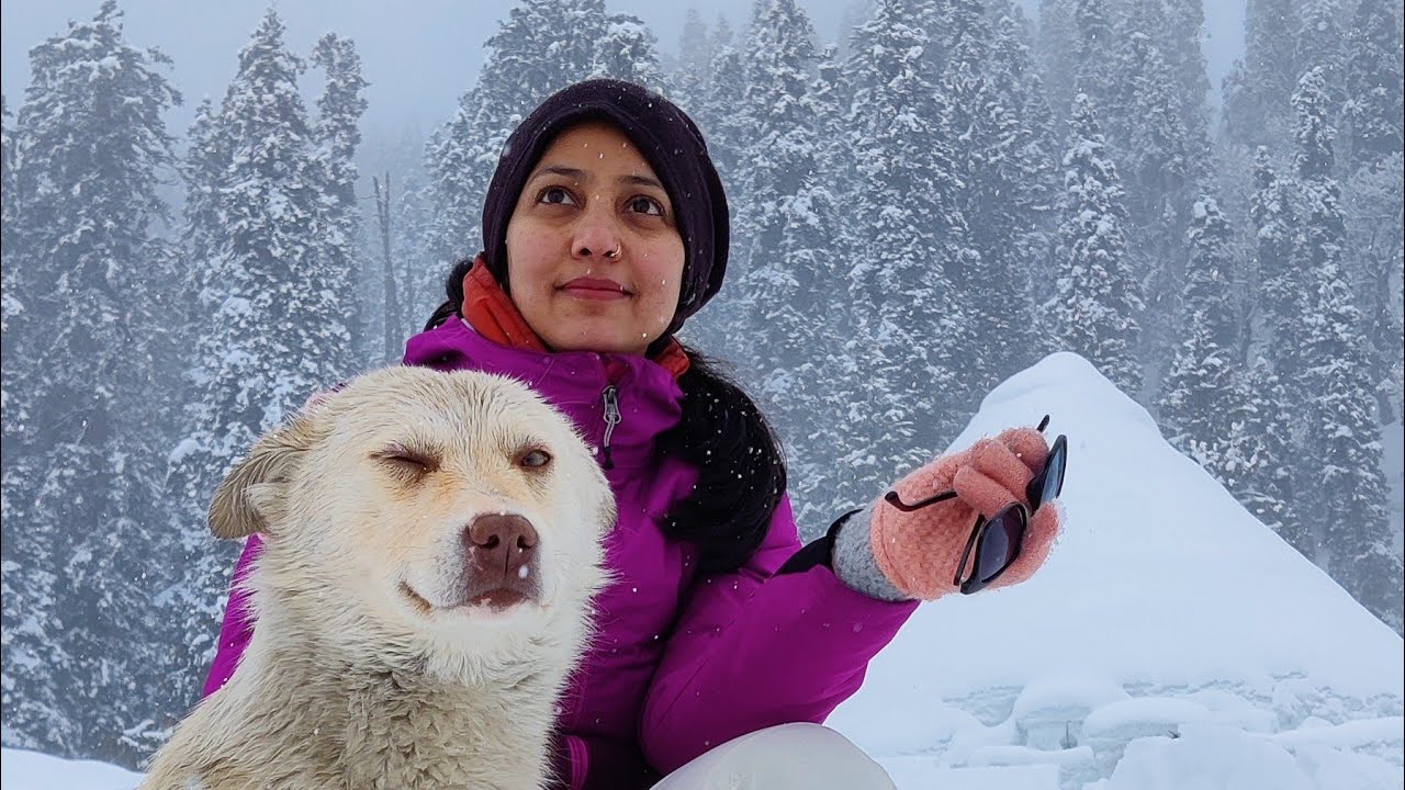 Gulmarg Kashmir in winter's 2022 ! Gulmarg kashmir tour ! live Snowfall ...