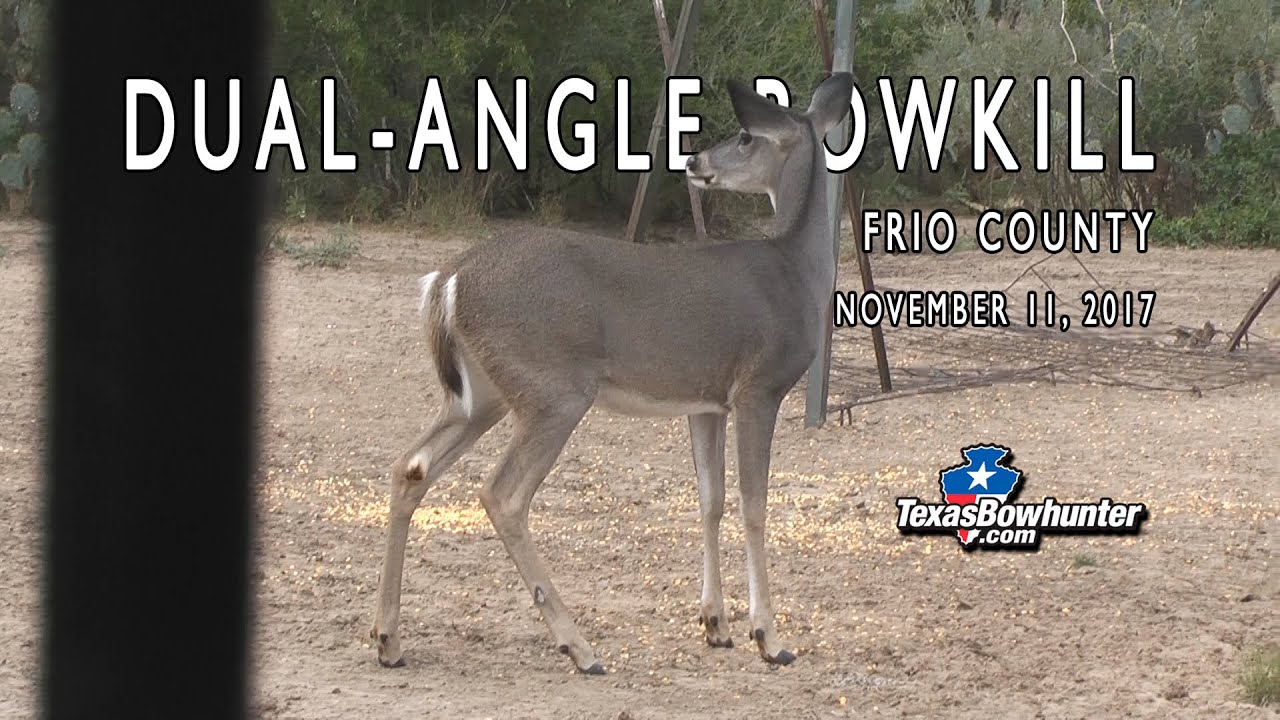 Close Doe Reverse Angle Shot Video YouTube Close Doe Reverse Angle Shot Video YouTube
