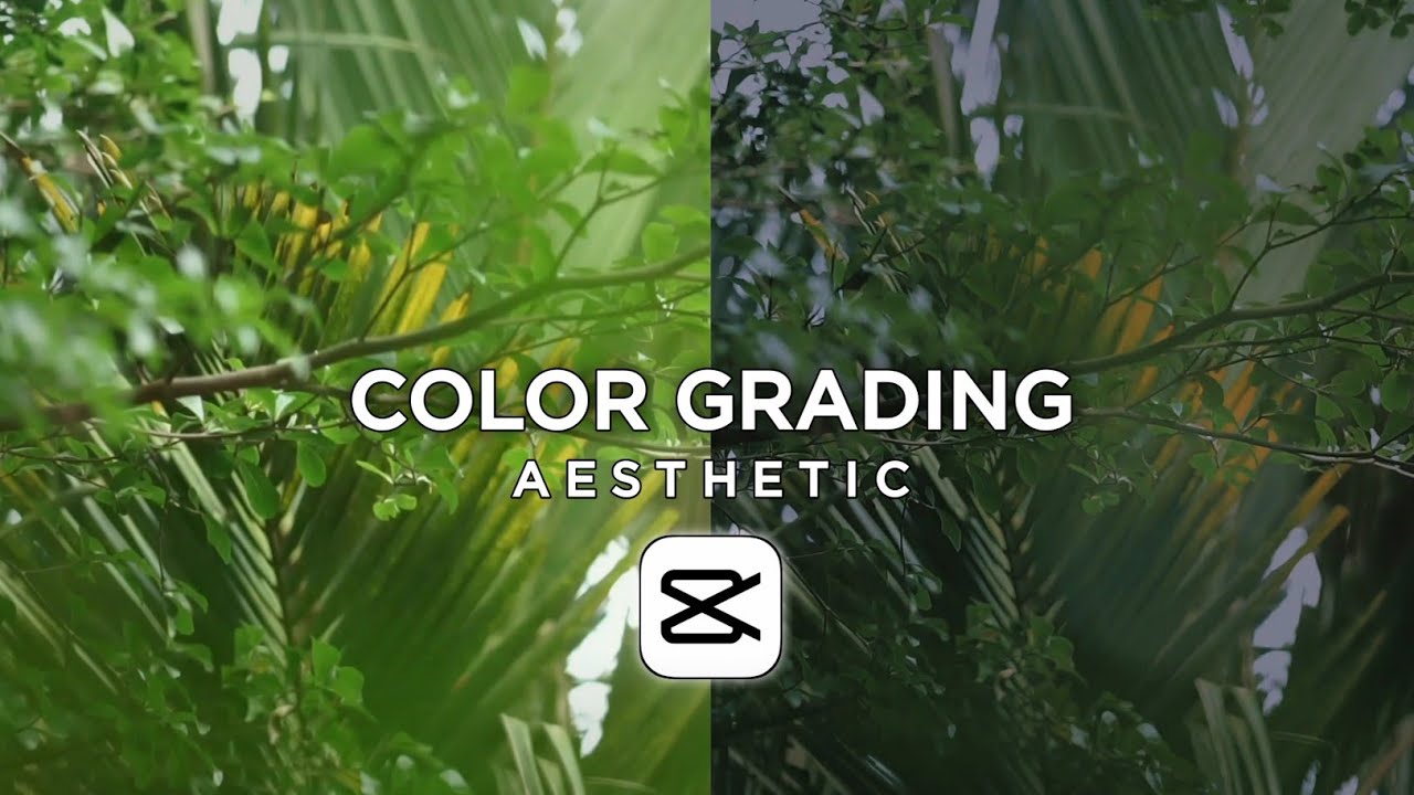 Cara Edit Color Grading Aesthetic Di Android - Capcut Tutorial - YouTube