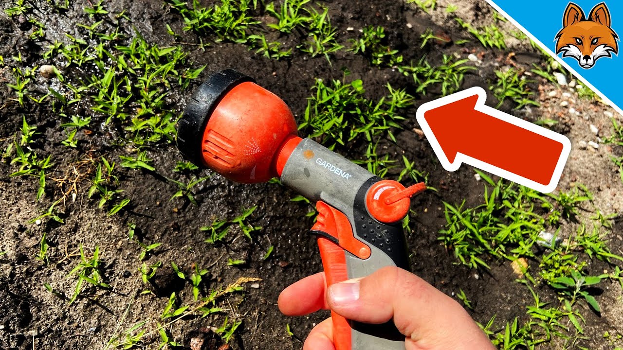 Everyone should know THESE 5 Weed TRICKS 💥( Secret & Effective) 🤯 - YouTube