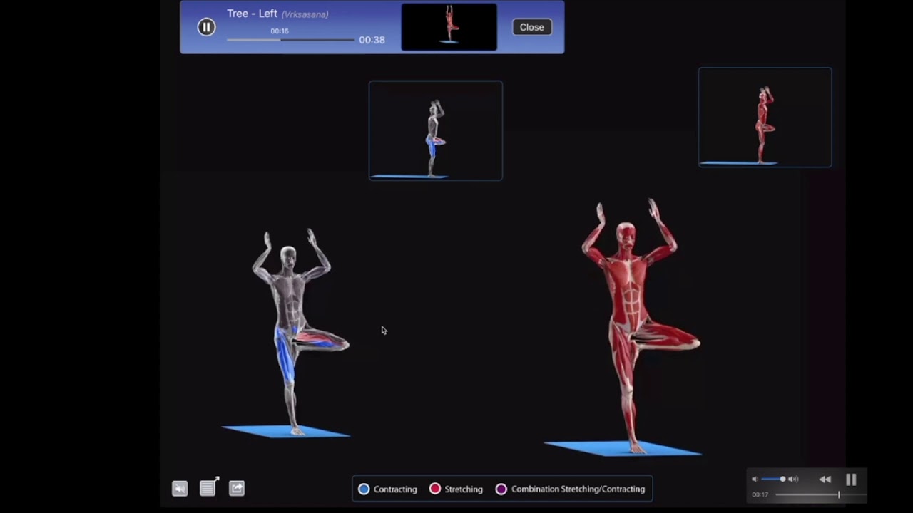 LAS POSTURAS DE EQUILIBRIO Y LOS HEMISFERIOS CEREBRALES - YouTube