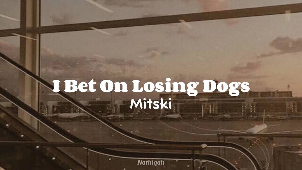 I Bet On Losing Dogs by Mitski | Lyric Video | Brown Aesthetic - YouTube