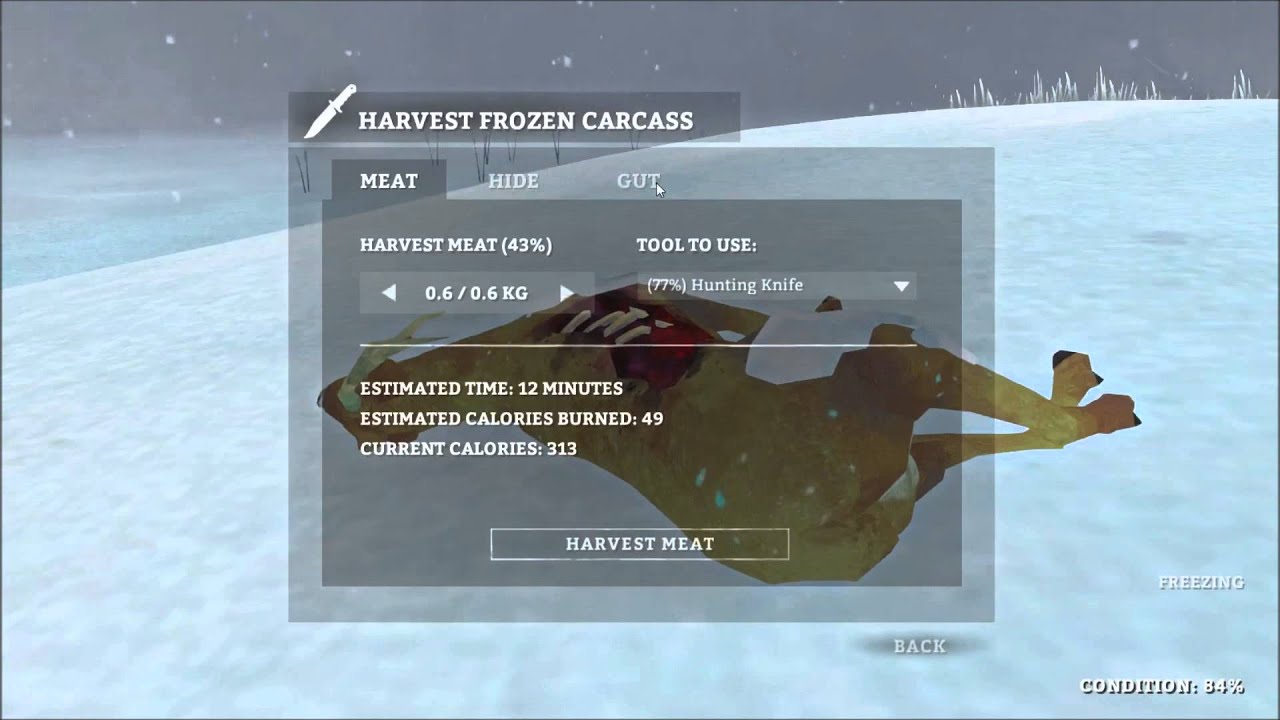 The Long Dark: Freezing to Death - YouTube