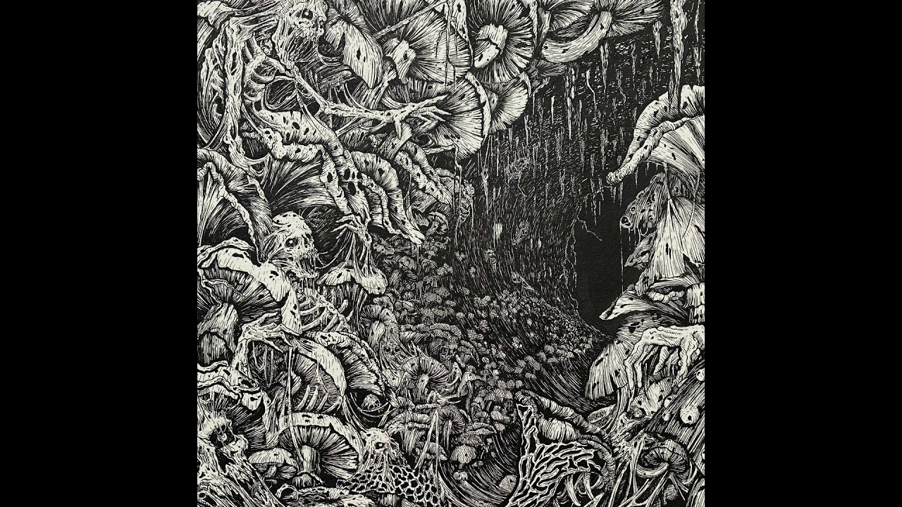 Vox in Rama - Within the Womb ( Official Audio ) - YouTube