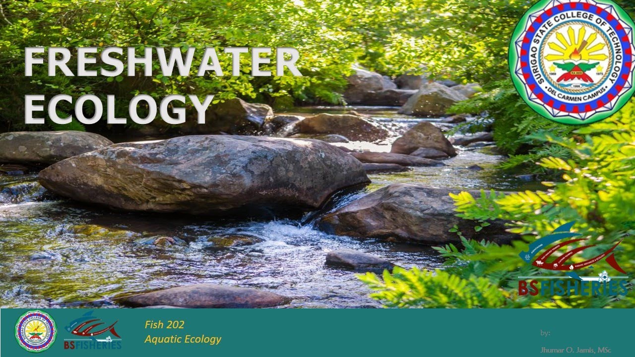 Fish 202 | Module 3 (Freshwater Ecology) - YouTube