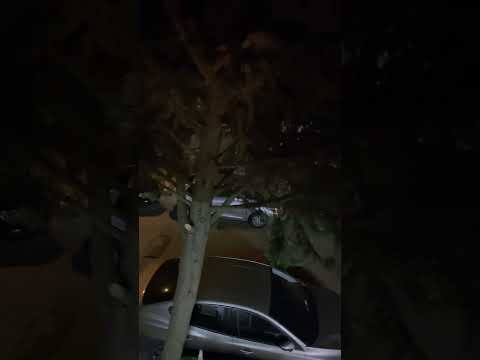 SON DAKİKA DEPREM OLDU: Deprem anı İstanbul,Ankara,kocaeli,bursa #keşfet