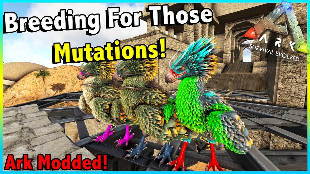 MAX LEVEL PHOENIX TAME + BREEDING FOR AMAZING COLOUR MUTATIONS!! || ARK ...