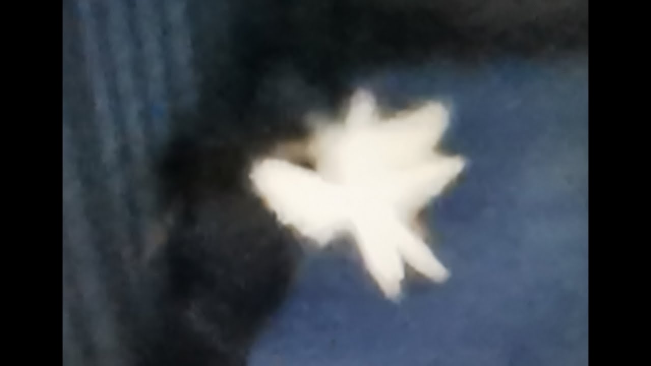 LITTLE FLYING CRYPTID ENTITY OR FAIRY FILMED IN MY GARDEN - YouTube