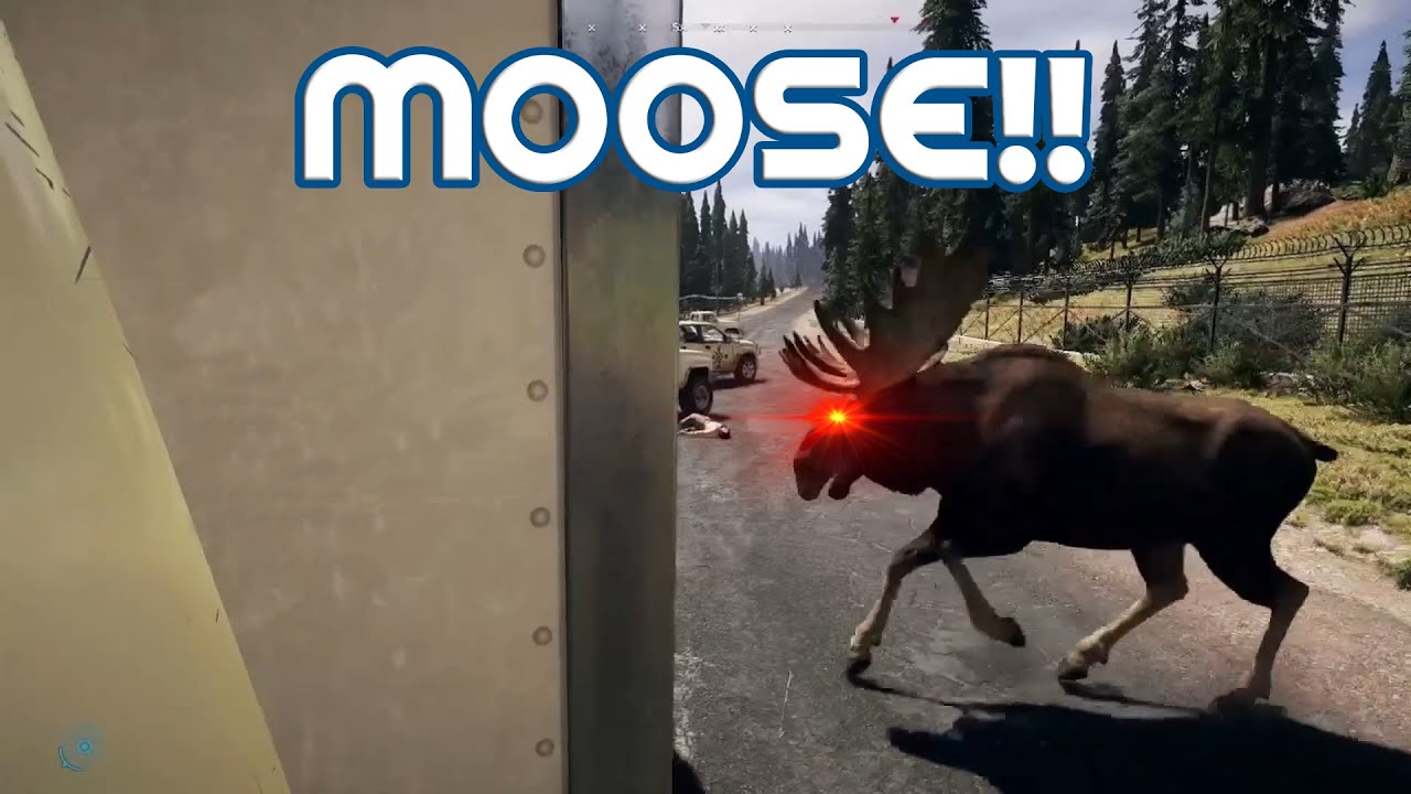 Dont mess with the moose! [Far Cry 5] - YouTube