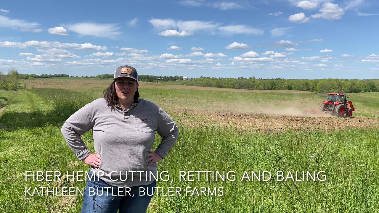 Fiber Hemp Cutting, Retting, and Baling at Butler Farms - YouTube