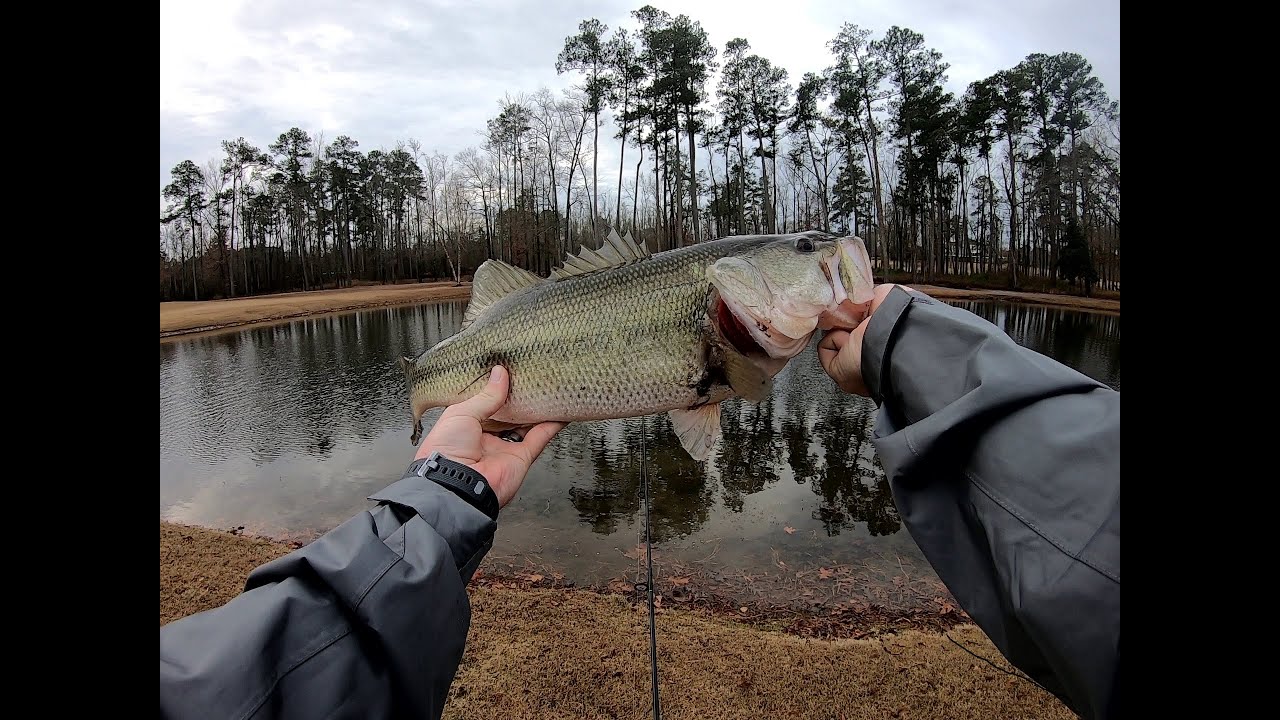 National Golf Course Fishing Day (Dec. 30th), Golf Course in Greenville ...