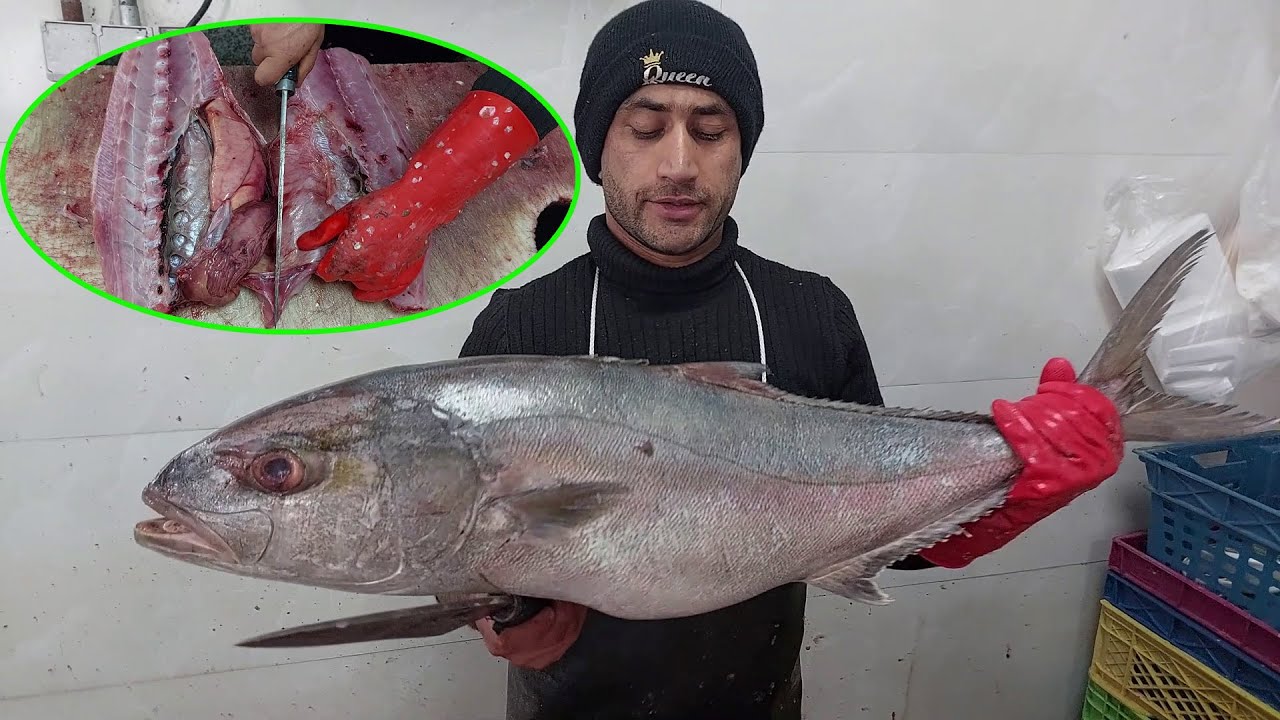 Amberjack Fish Cutting | Excellent skill in cutting huge fish - YouTube