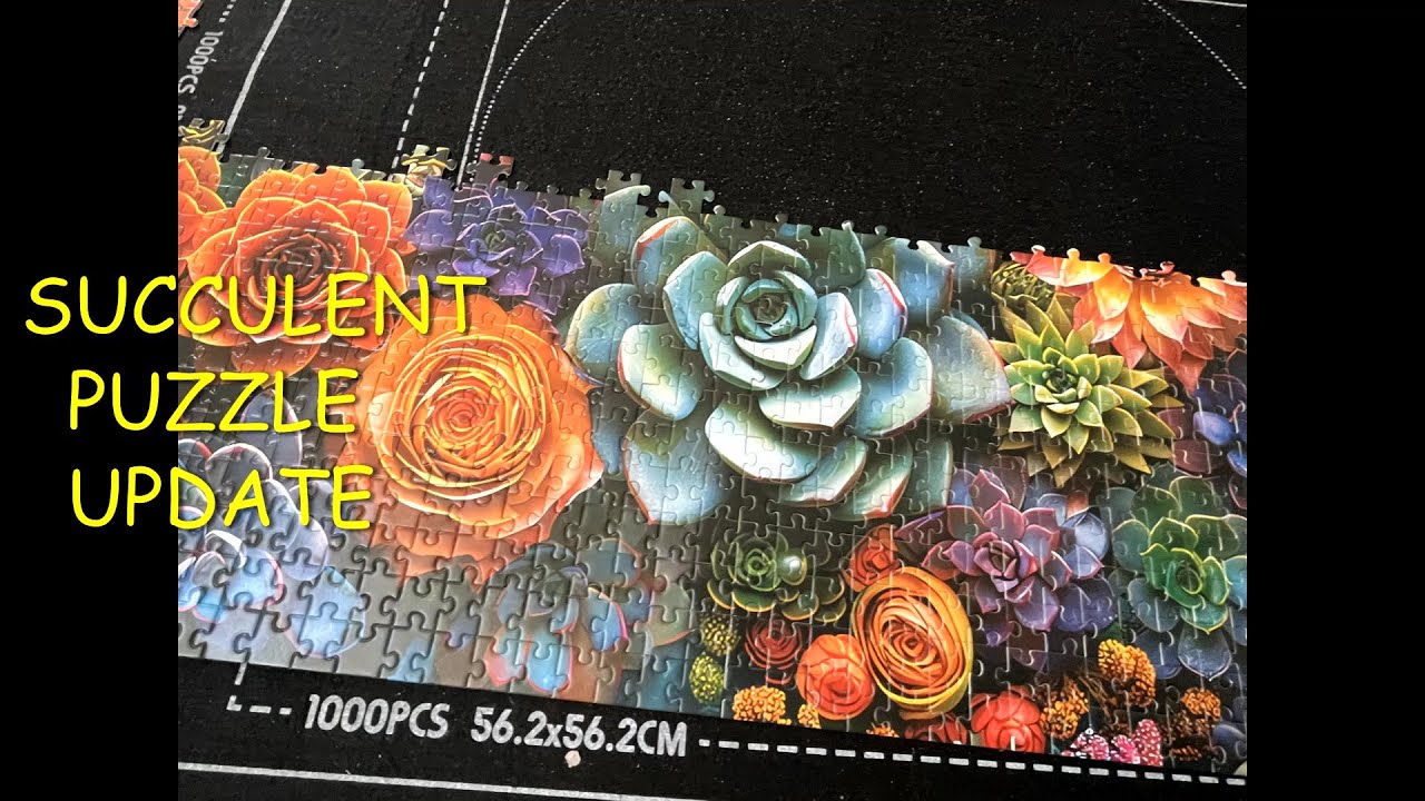 #PRACTICINGPUZZILINGWITHFRIENDS 🧩MY SUCCUIENT PUZZLE UPDATE🧩 LOVING IT ...