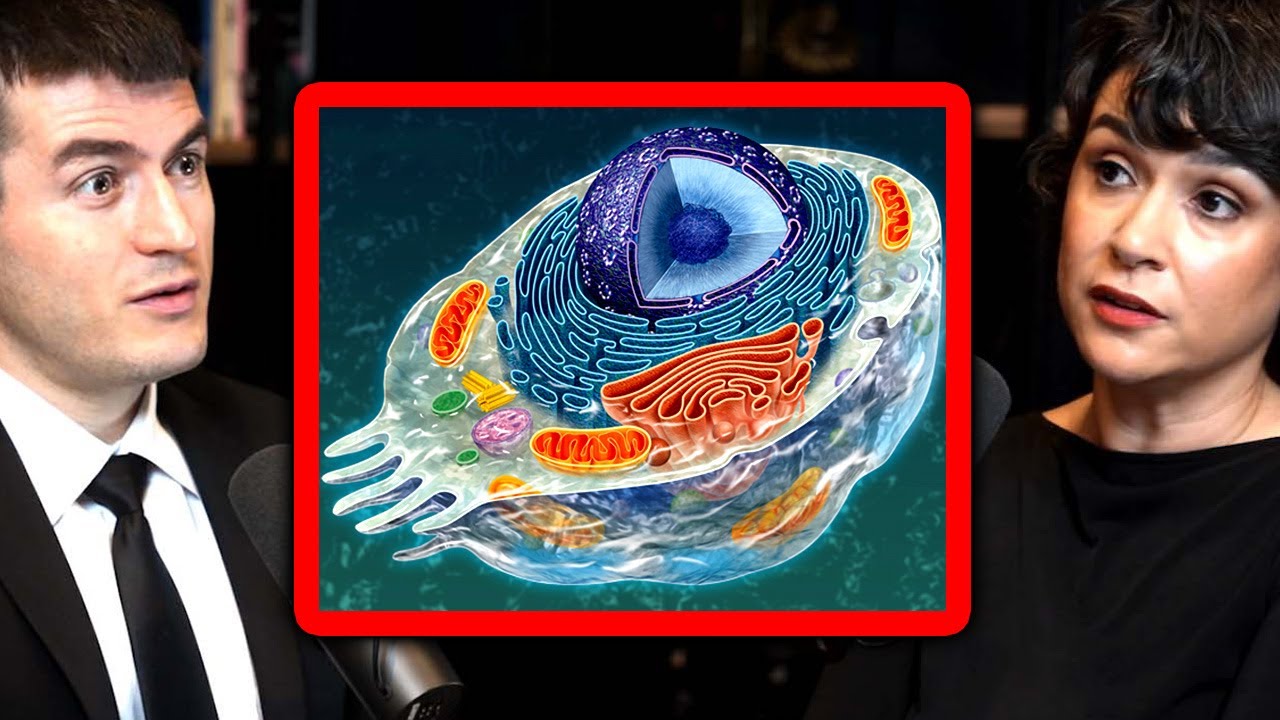 The biological machinery of life | Betül Kaçar and Lex Fridman - YouTube