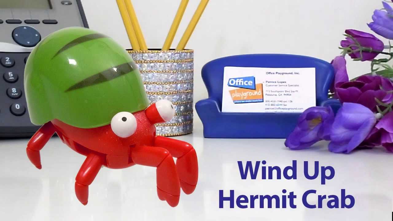 Wind Up Hermit Crab - YouTube