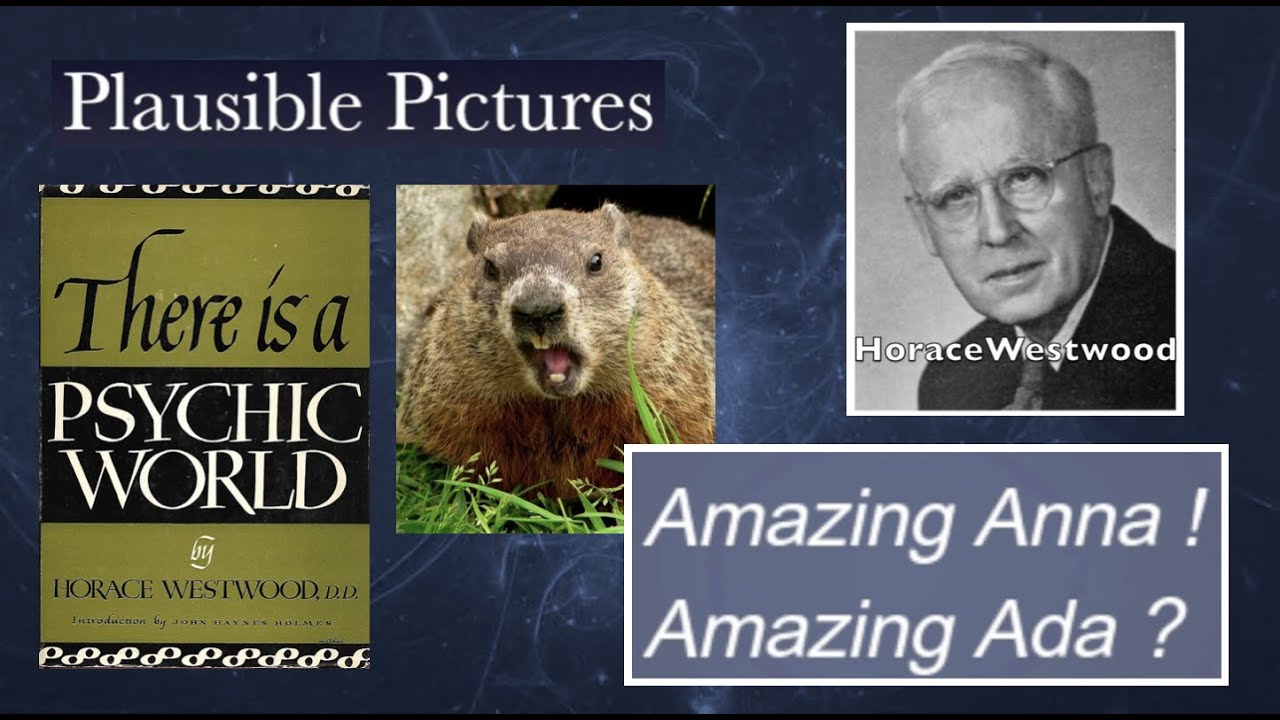 Amazing Anna! Amazing Ada? (A Documentary by Dr Keith Parsons) - YouTube