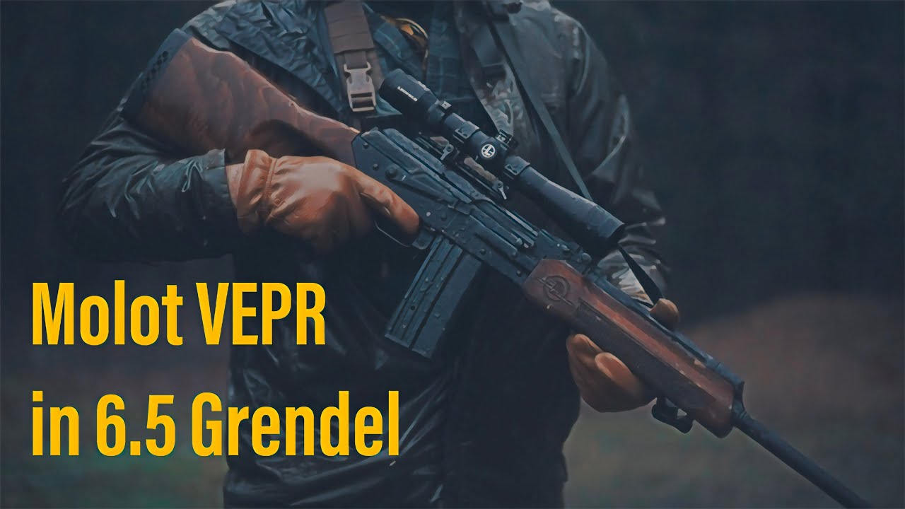 The AK DMR Project | Molot VEPR in 6.5 Grendel - YouTube