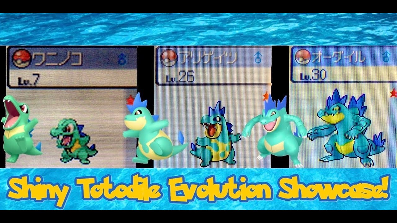 Special Pokémon HgSs Epic Shiny Totodile Evolution Showcase! - YouTube