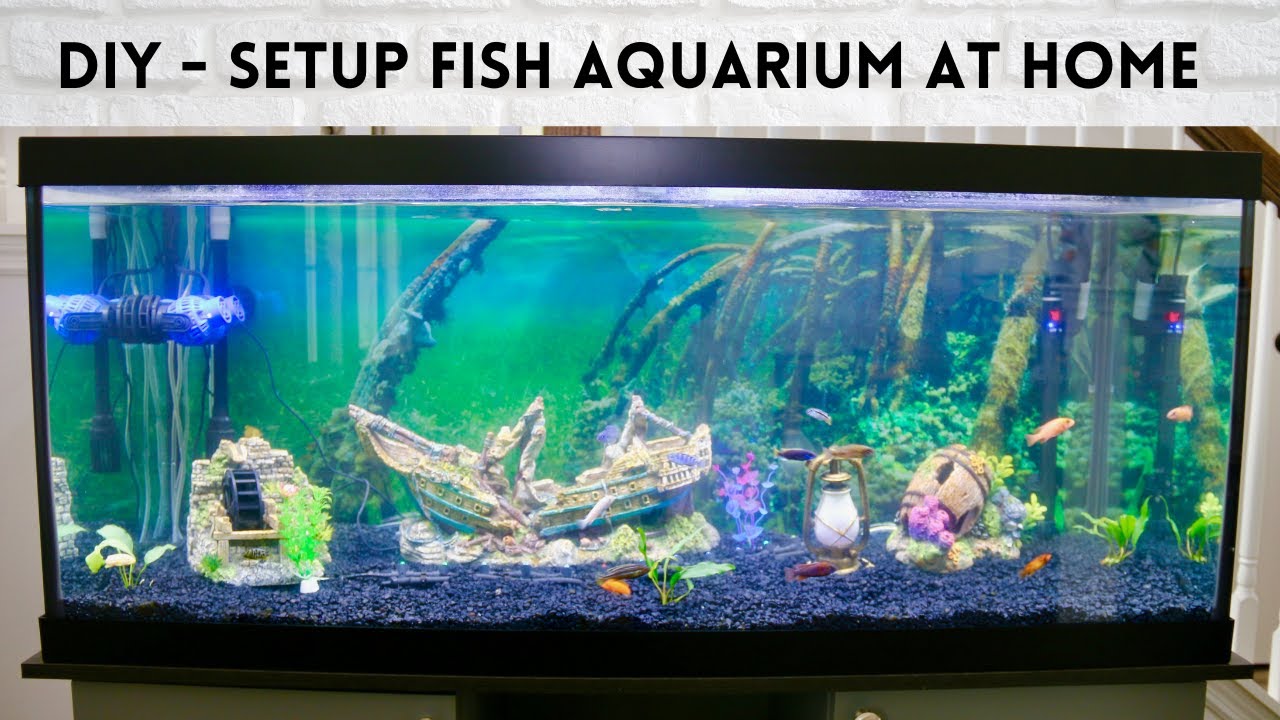 DIY FISH TANK|Setup 75 gallon Fish Aquarium @home|வீட்டில் மீன் தொட்டி ...
