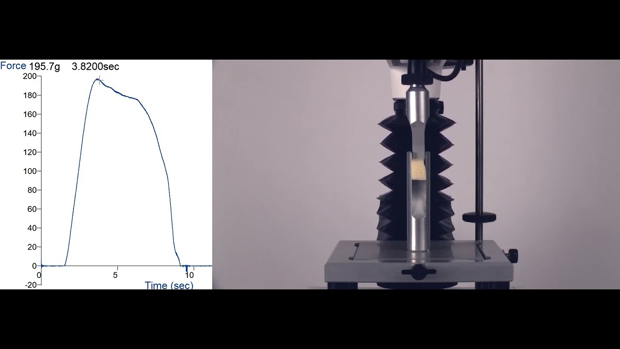 Volodkevich Bite Jaws | Measure incisor tooth cutting imitation using a ...