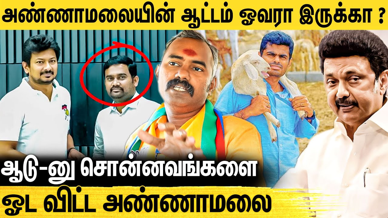 ஜாபர் சாதிக் - உதயநிதி தொடர்புக்கு ஆதாரம் தரவா ? Aswathaman interview ...