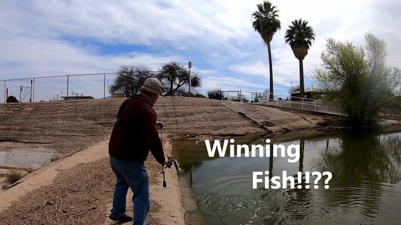 Fishing My First Bass Tournament Ever At Lakeside Park - Tucson, Az ...