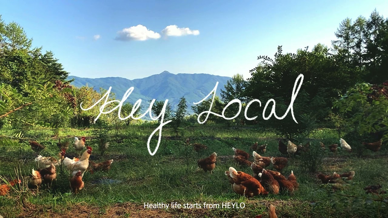 Hey Local, HEYLO - YouTube