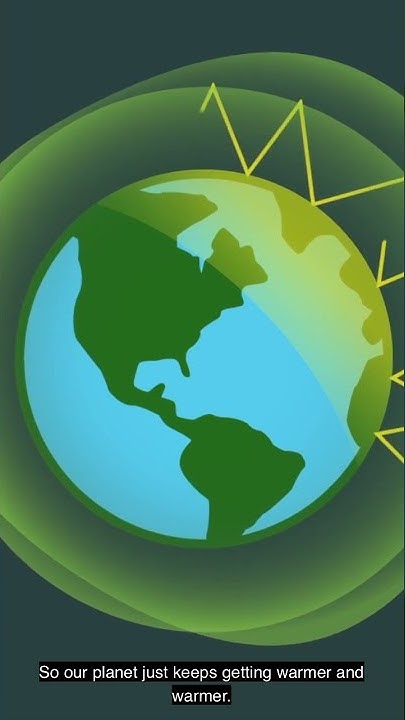 How Do Trees Cool Our Planet? - YouTube