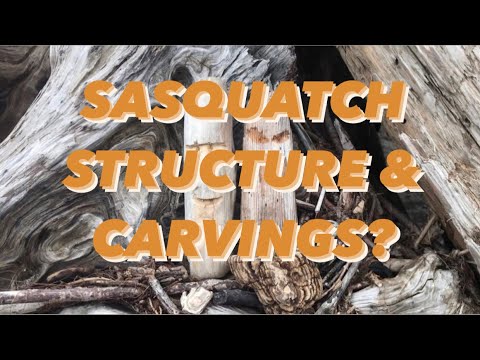 Sasquatch Structures and Carvings: A Mystery in Mendocino