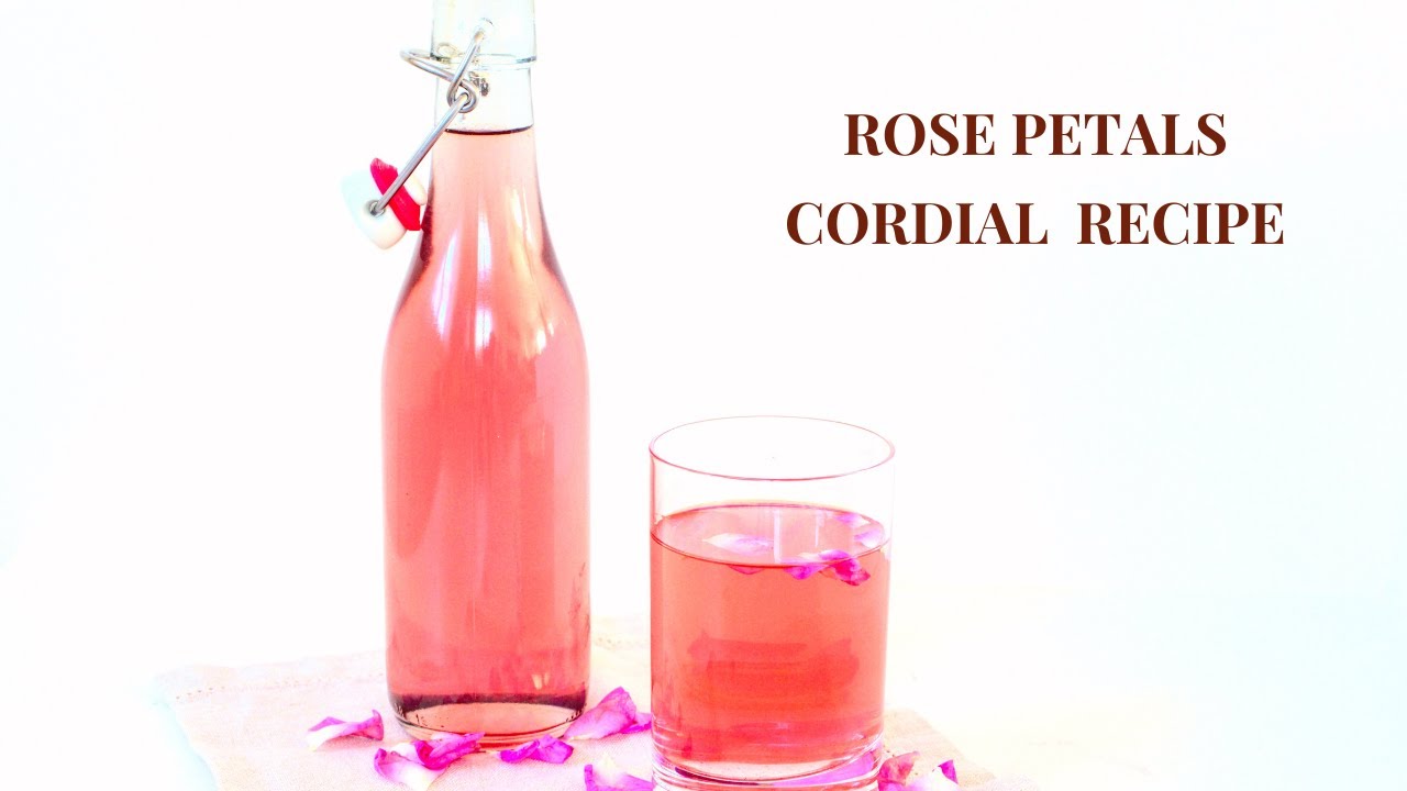 The Best Rose Cordial Recipe Rose Syrup Using Fresh Roses Youtube