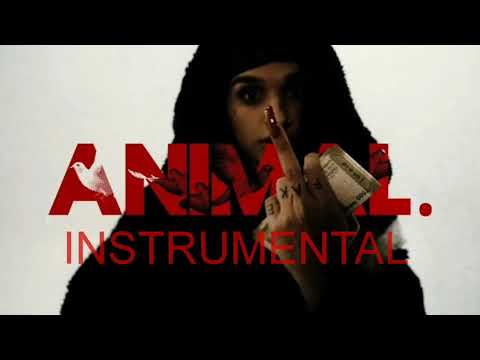 KINARI - ANIMAL INSTRUMENTAL