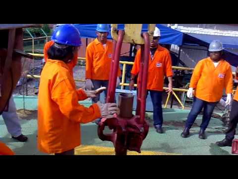 SONDA ESCOLA 37351