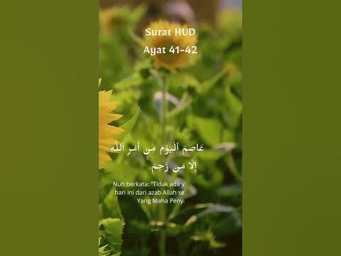 Surat Hud, ayat 41-42 - YouTube