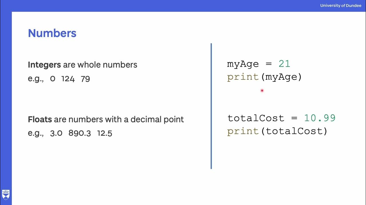 Data Types Youtube